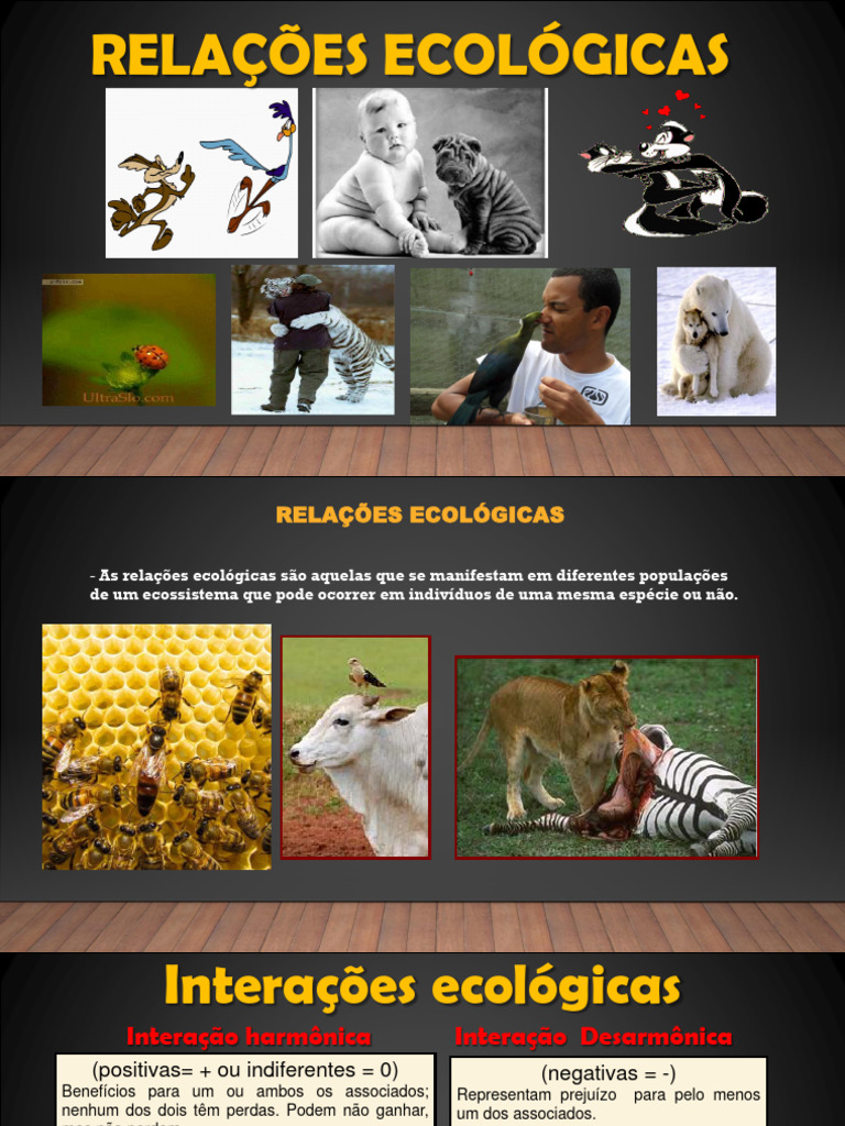 Interações Ecológicas e suas Dinâmicas | PDF | Mimetismo | Formiga