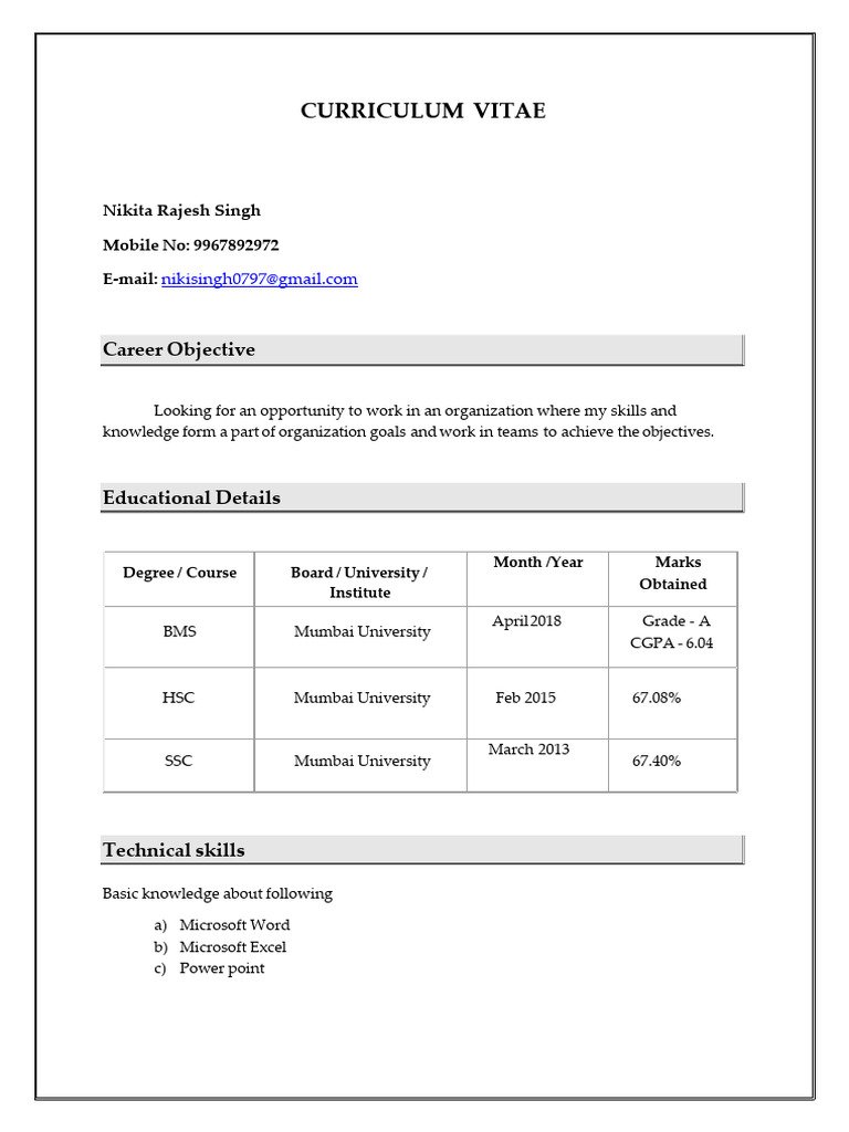 Job Seeker's Resume | PDF