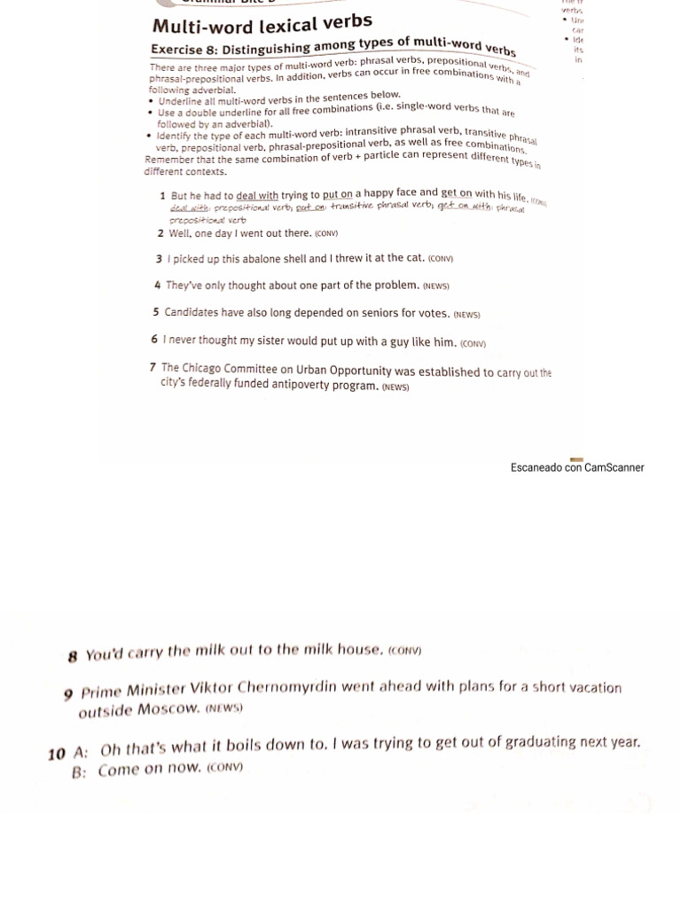 Multi Word Lexical Verbs Practice | PDF