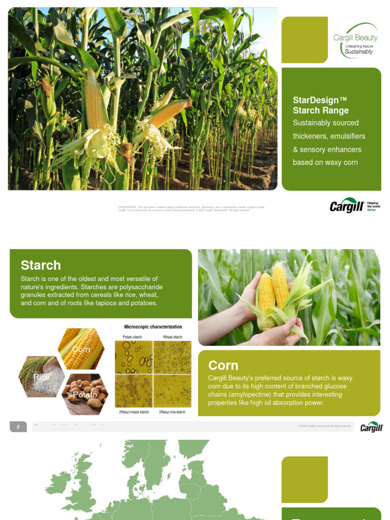Cargill - StarDesign Starch Range 042022 | PDF | Starch | Cosmetics