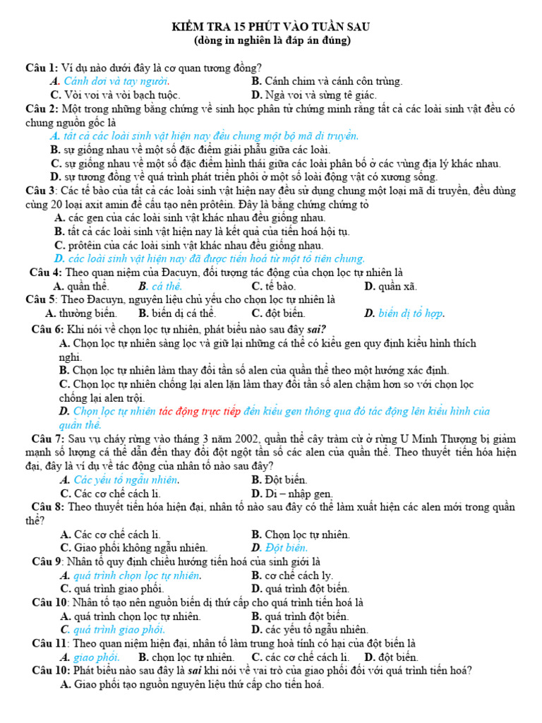 Kiem Tra 15 Phut | PDF