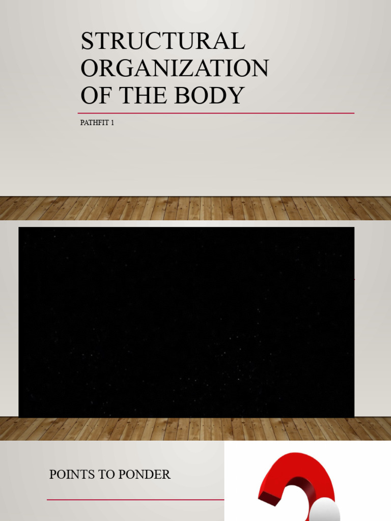 Body Structure and Organization Explained | PDF | Atoms | Molecules