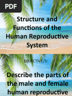 Human Reproductive Systems PowerPoint | PDF | Human Reproduction ...