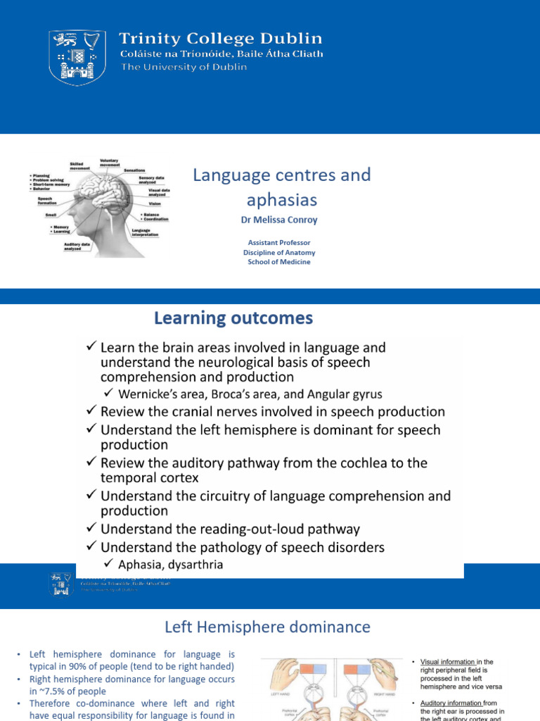 12 DR Conroy Language Centres and Aphasias | PDF | Speech ...