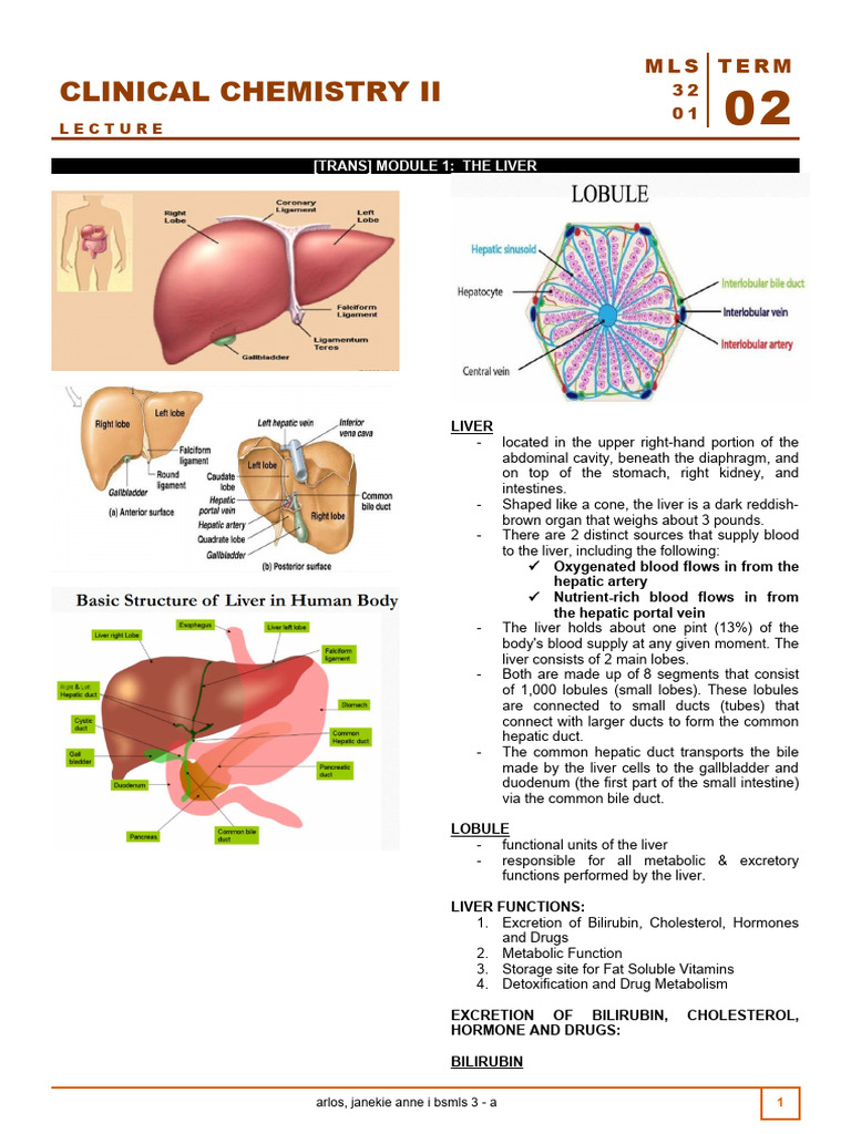 Trans CC2 Lec Mod 1 | PDF | Hepatitis | Liver