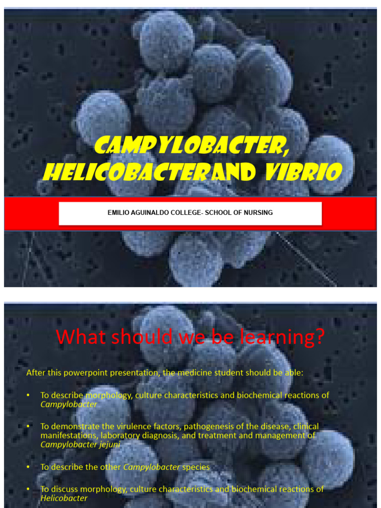 3.3-Microbiology Campylobacter Helicobacter and Vibrio PDF | PDF | Cholera | Medical Specialties