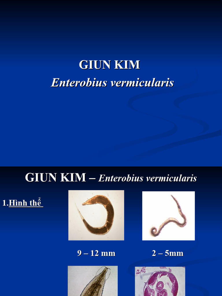 Giun Kim 2 1 | PDF