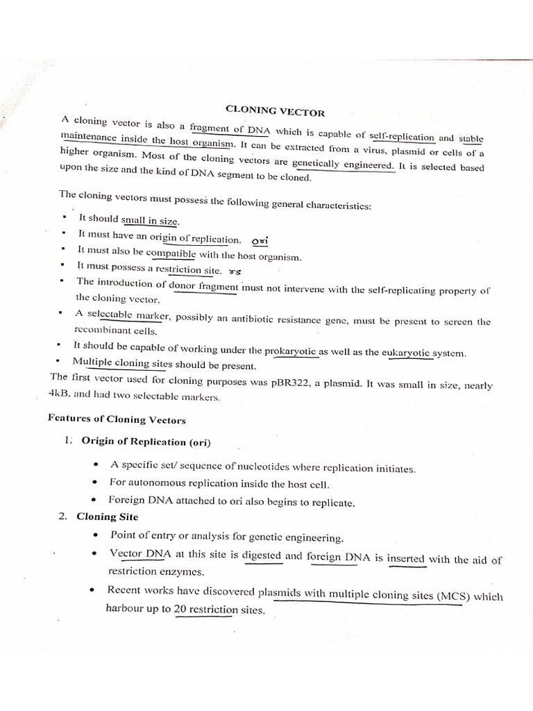 Cloning Vectors | PDF