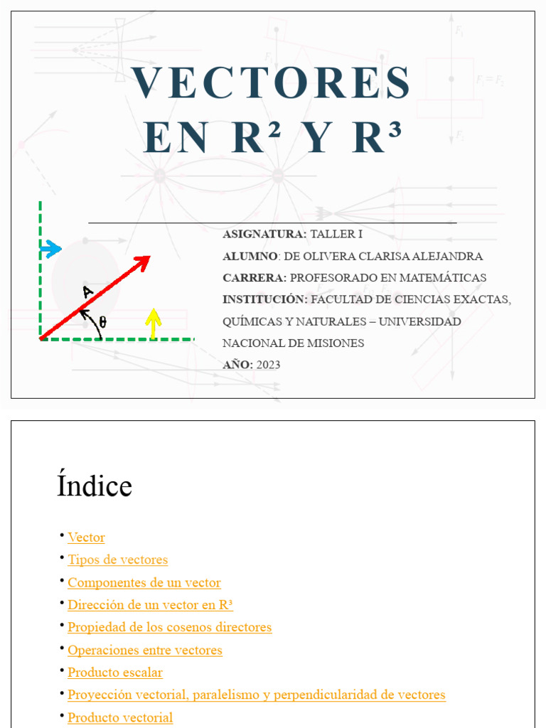 Vector en R2 y R3 | PDF | Vector Euclidiano | Álgebra