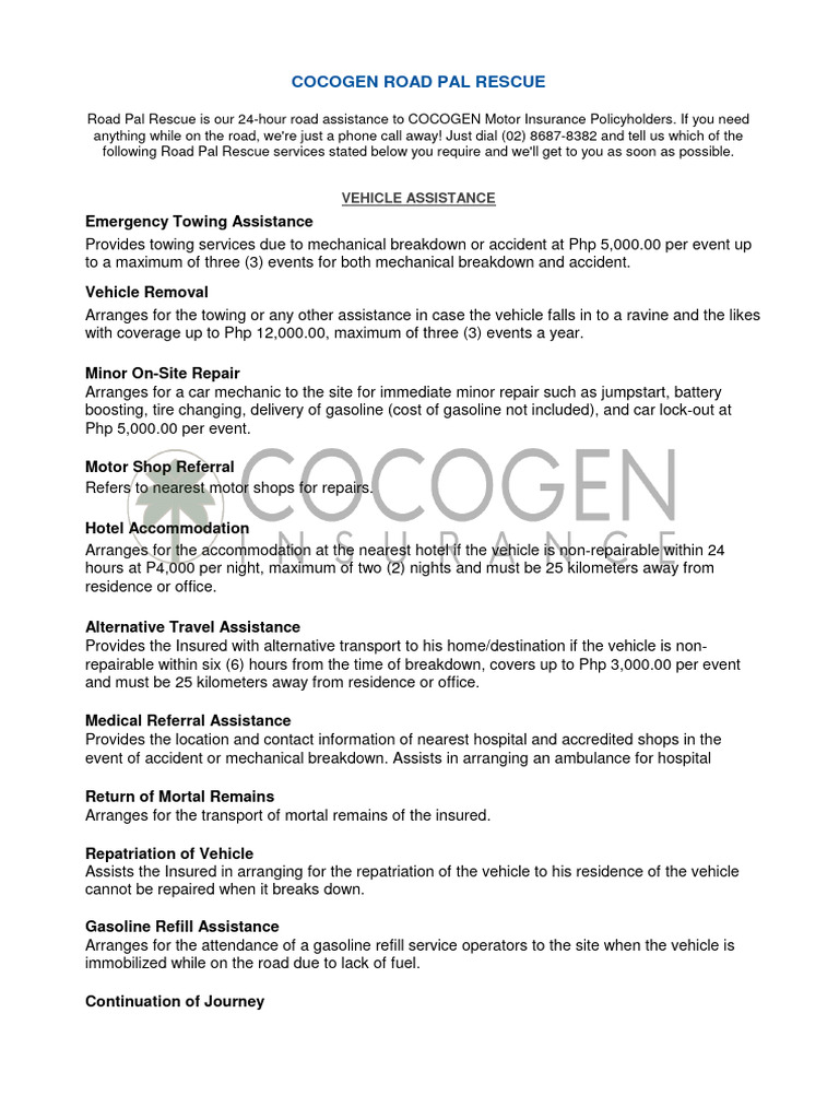 Comprehensive Road Assistance Services | PDF | Vehicles | Transport