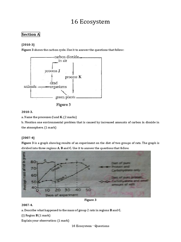Ecosystem | PDF | Food Web | Ecosystem