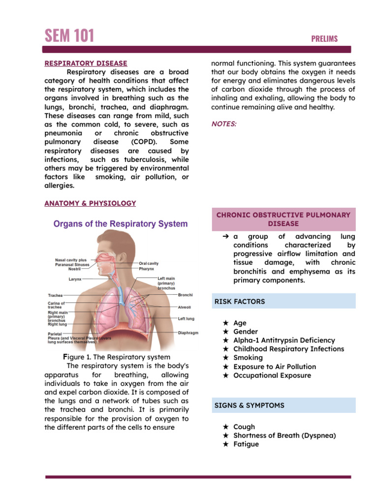BSN 4e Sem 101 Group 4 Handout | Download Free PDF | Respiratory ...