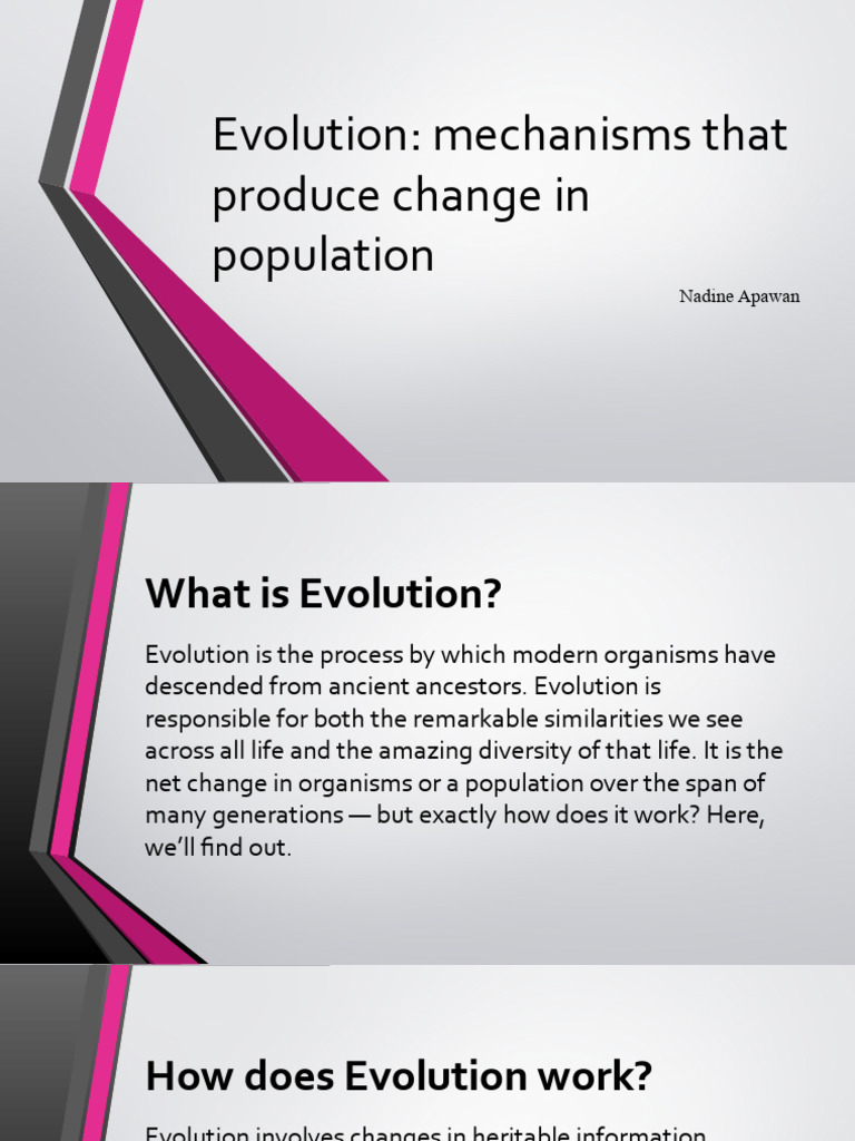 Mechanism of Evolution | PDF | Mutation | Evolution