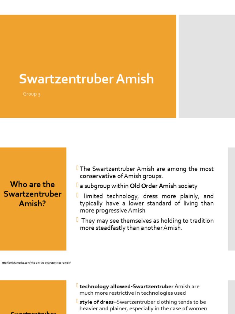 Group 3 Swartzentruber Amish Final | PDF | Amish