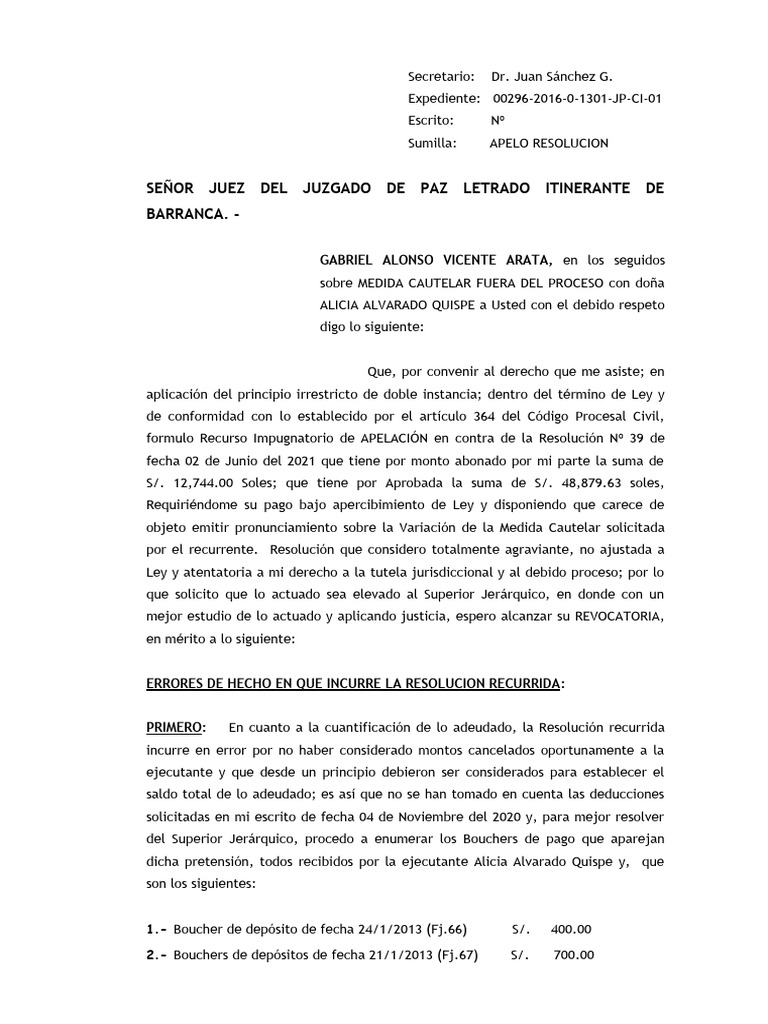 Apelo Resolucion Vicente Arata - Chicho | PDF | Debido al proceso | Mandato