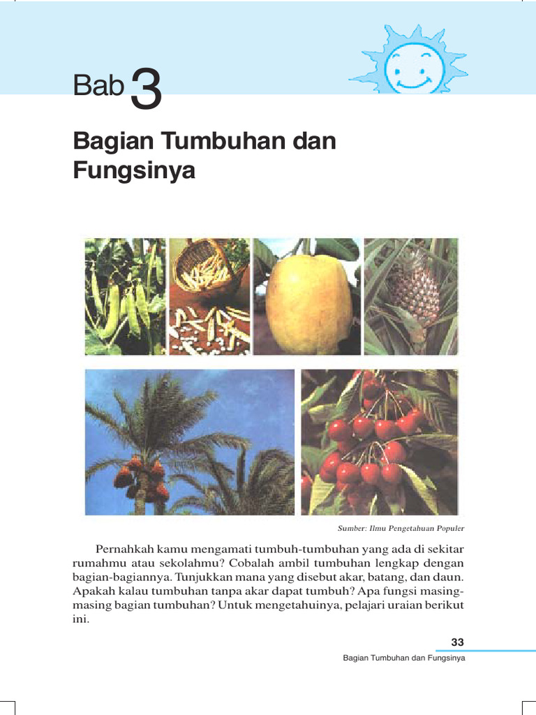 Fungsi Utama Bagian Tumbuhan | PDF | Griya & Taman | Sains & Matematika