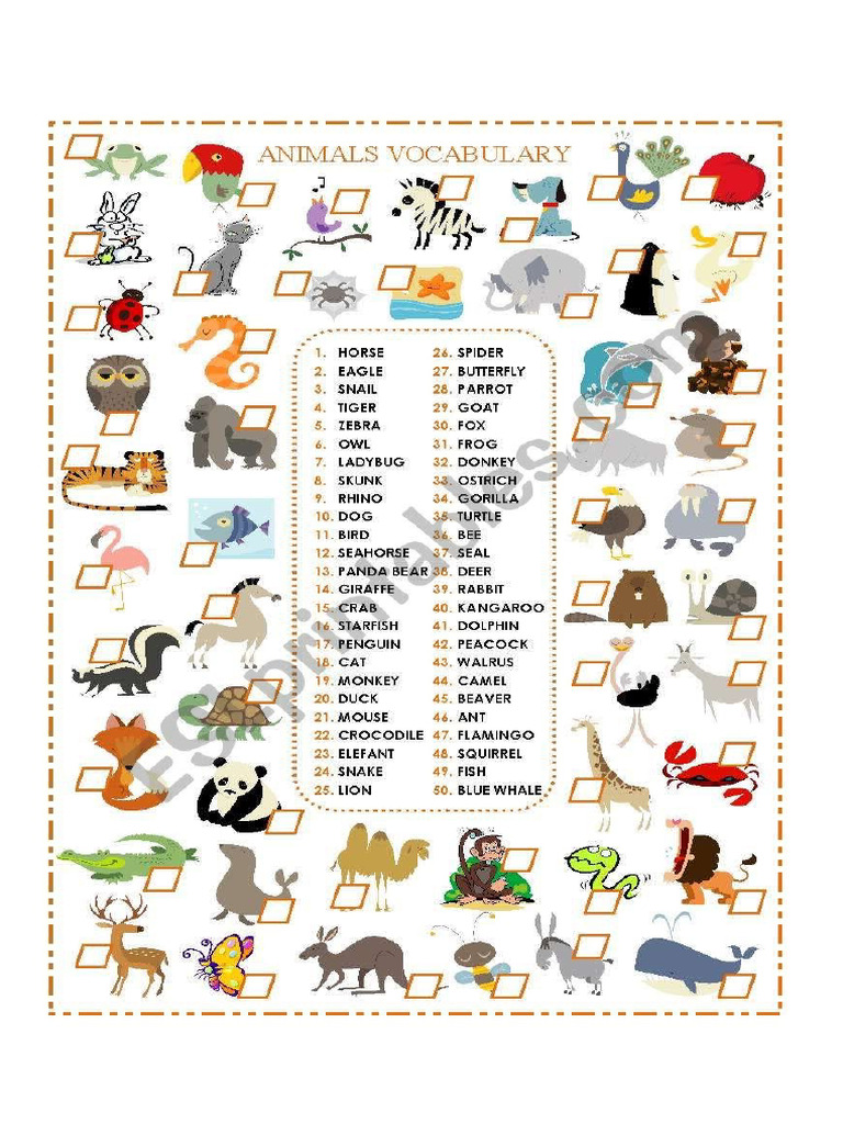 Animals Work Sheet | PDF