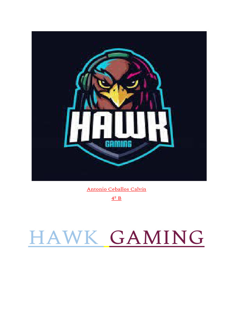 Hawk Gaming | Descargar gratis PDF | Business | Comercio