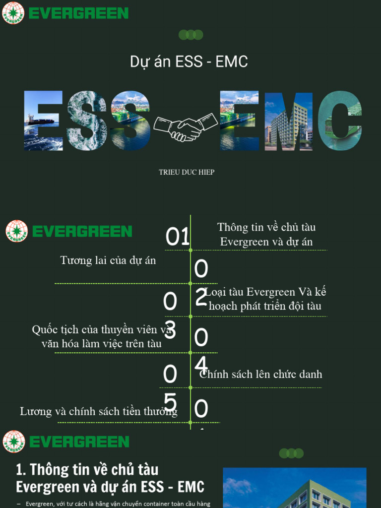 D Án Evergreen | PDF