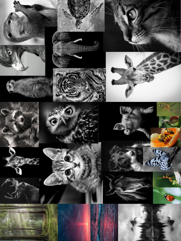 Presentation For Art | PDF