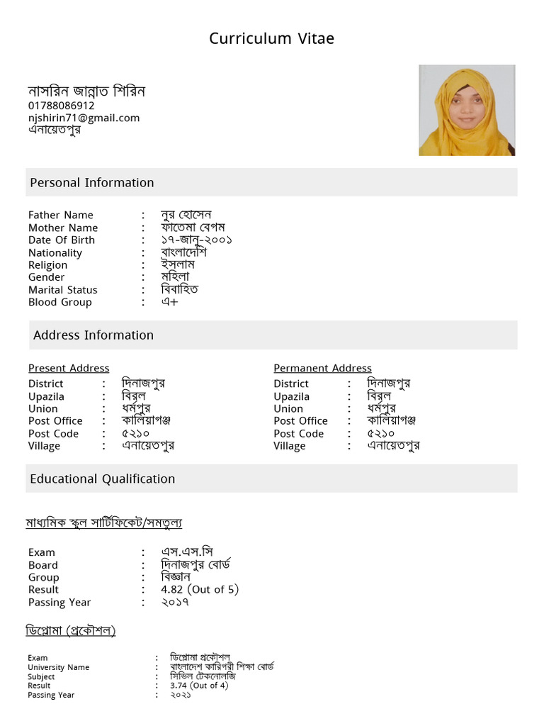My CV | PDF