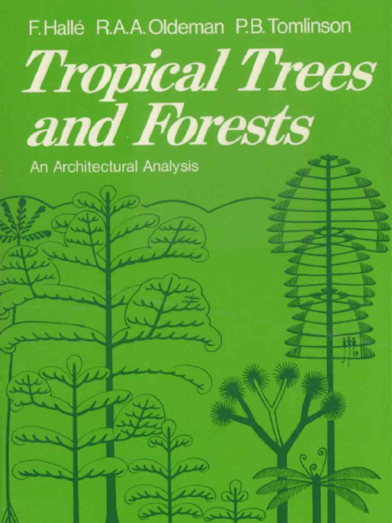 09318 | Download Free PDF | Trees | Root