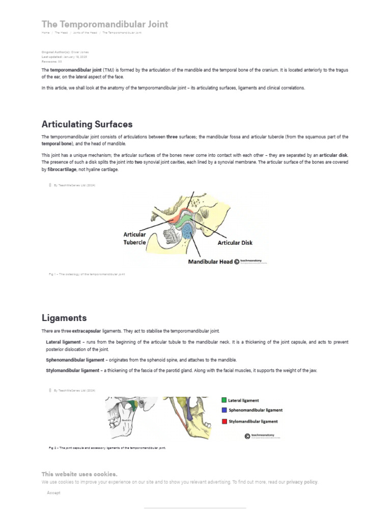 The Temporomandibular Joint - Structure - Function - TeachMeAnatomy ...