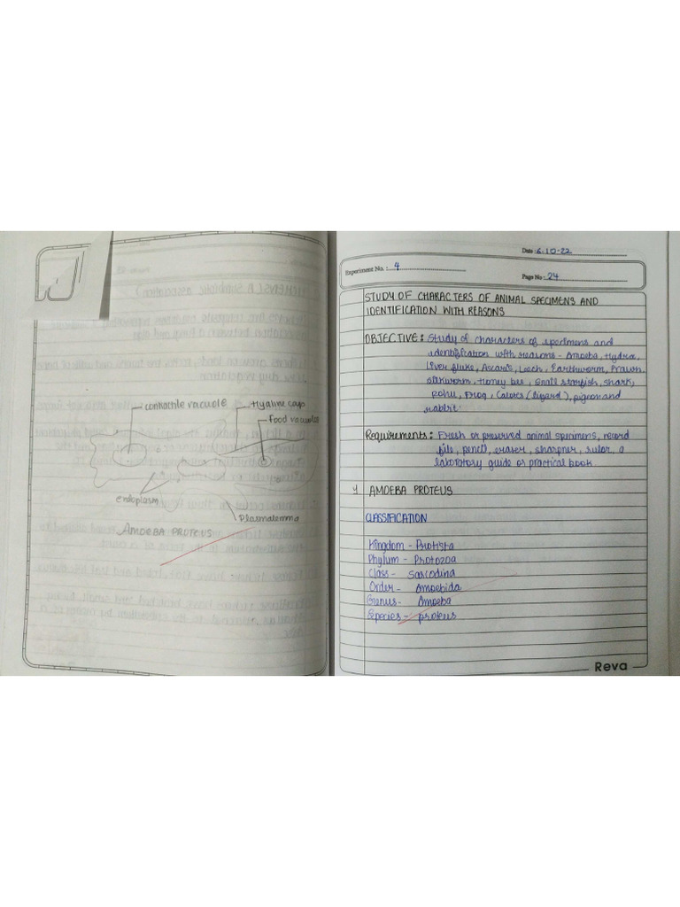 SPOTTER Exp. Study of Characters of Animal Specimens and Identification ...