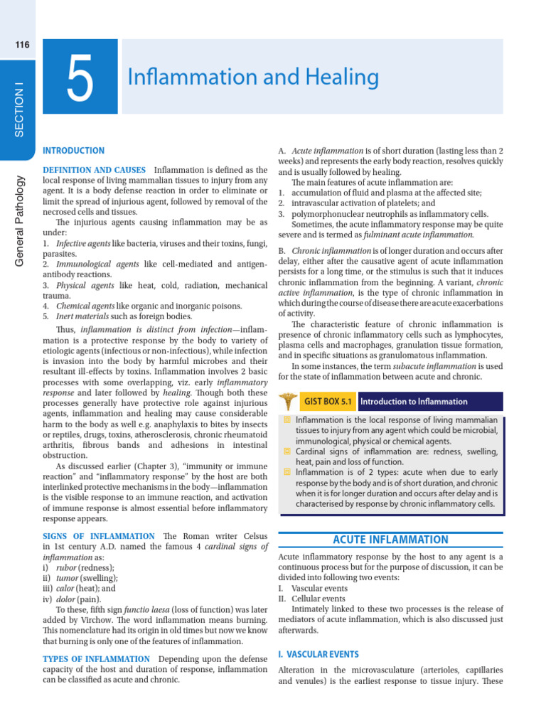 Print Patho 1 | PDF | Inflammation | Phagocyte