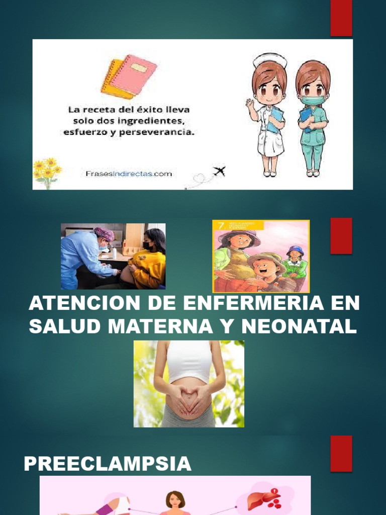 SALUD MATERNA Y NEONATAL. | PDF | El embarazo | Parto
