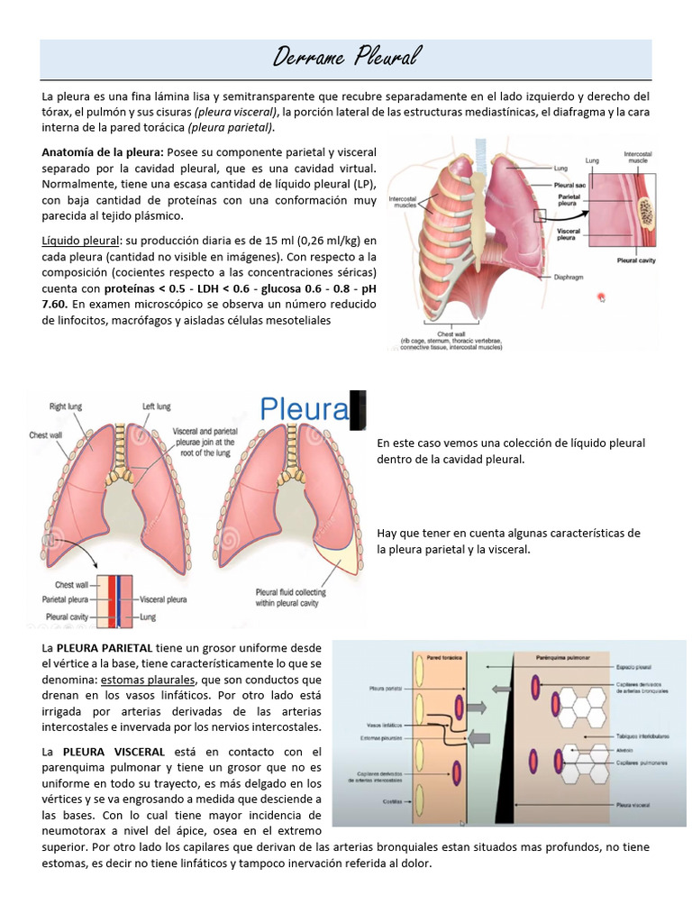 DERRAME PLEURAL | PDF | Insuficiencia cardíaca | Especialidades Medicas