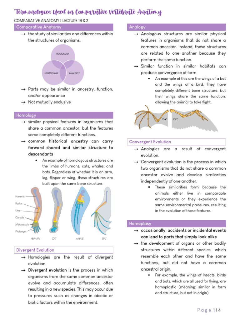 Lec 1 b&2 | Download Free PDF | Homology (Biology) | Biological Evolution