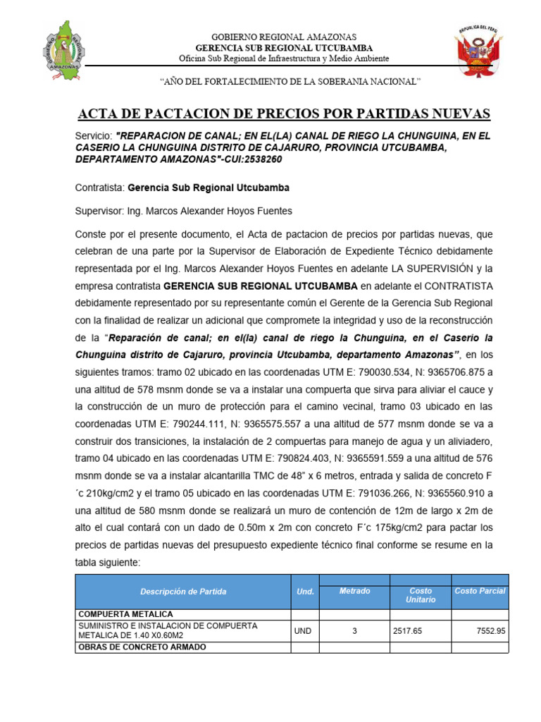 Actas de Pactacion de Precios Partidas Nuevas 1 | PDF