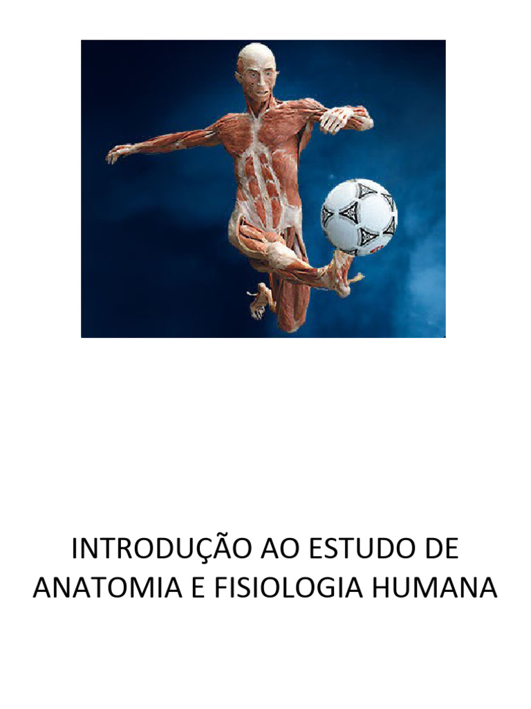 1º Aula De Anatomia Introdução A Anatomia Premem Pdf Anatomia