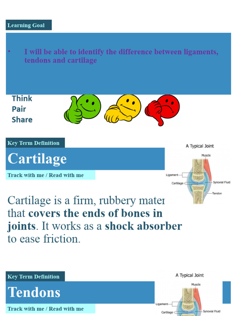 Tendons, Ligaments and Cartillage | PDF