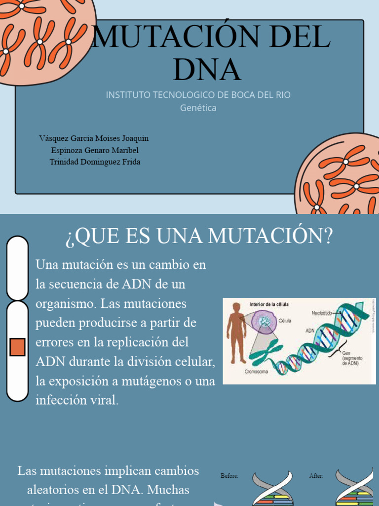 Equipo 2_Mutación Del DNA | PDF | Mutación | Reparación de adn