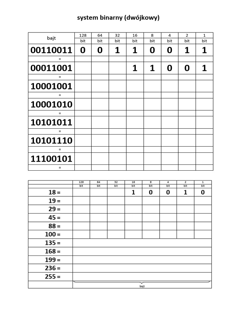Inf System Binarny | PDF