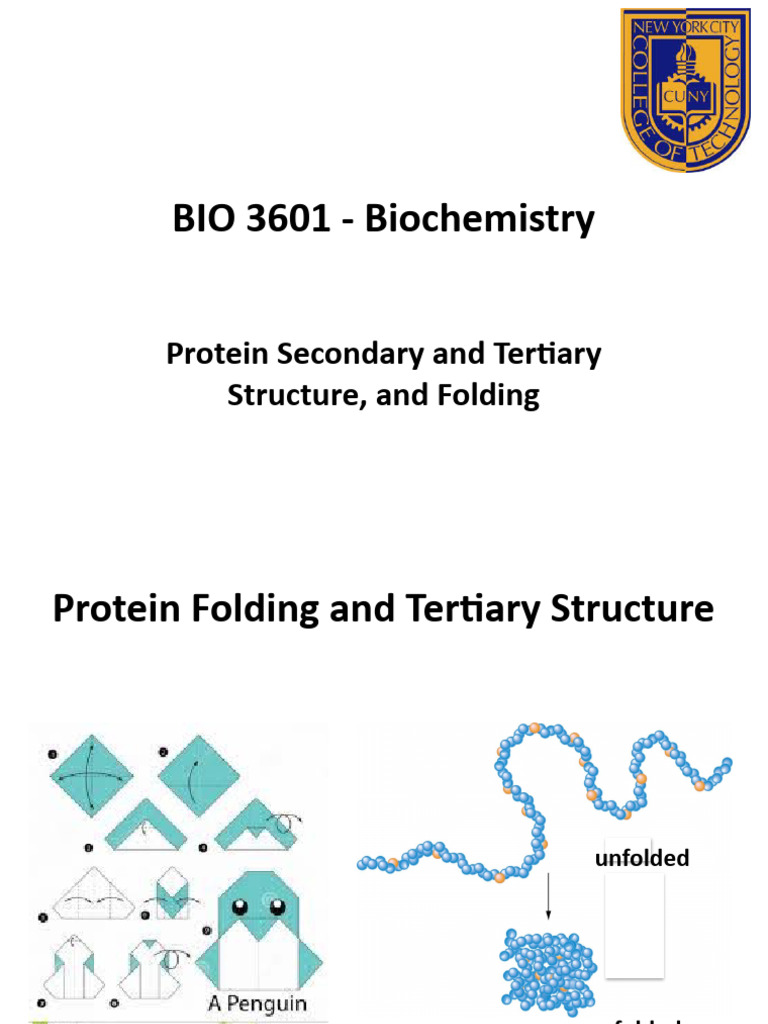 LEC 04 - Protein Secondary & Tertiary Structure, Protein Folding ...
