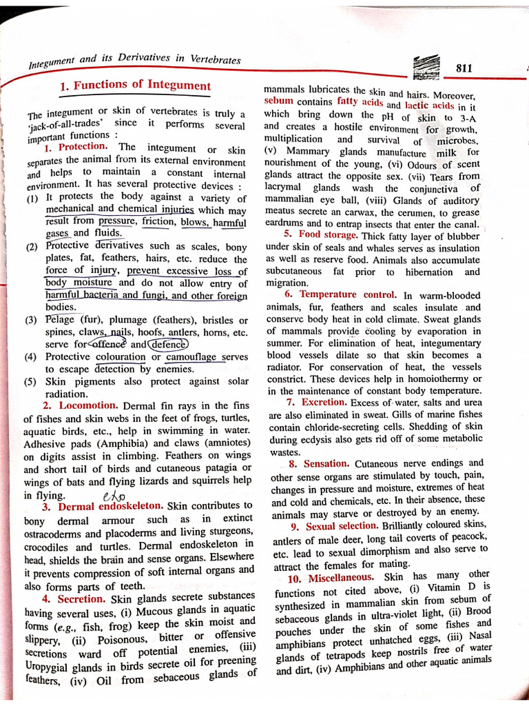 Skin Functions, Glands | PDF