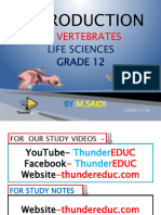 Life Sciences Study Guide Grade 12 | PDF | Menstrual Cycle | Fertilisation