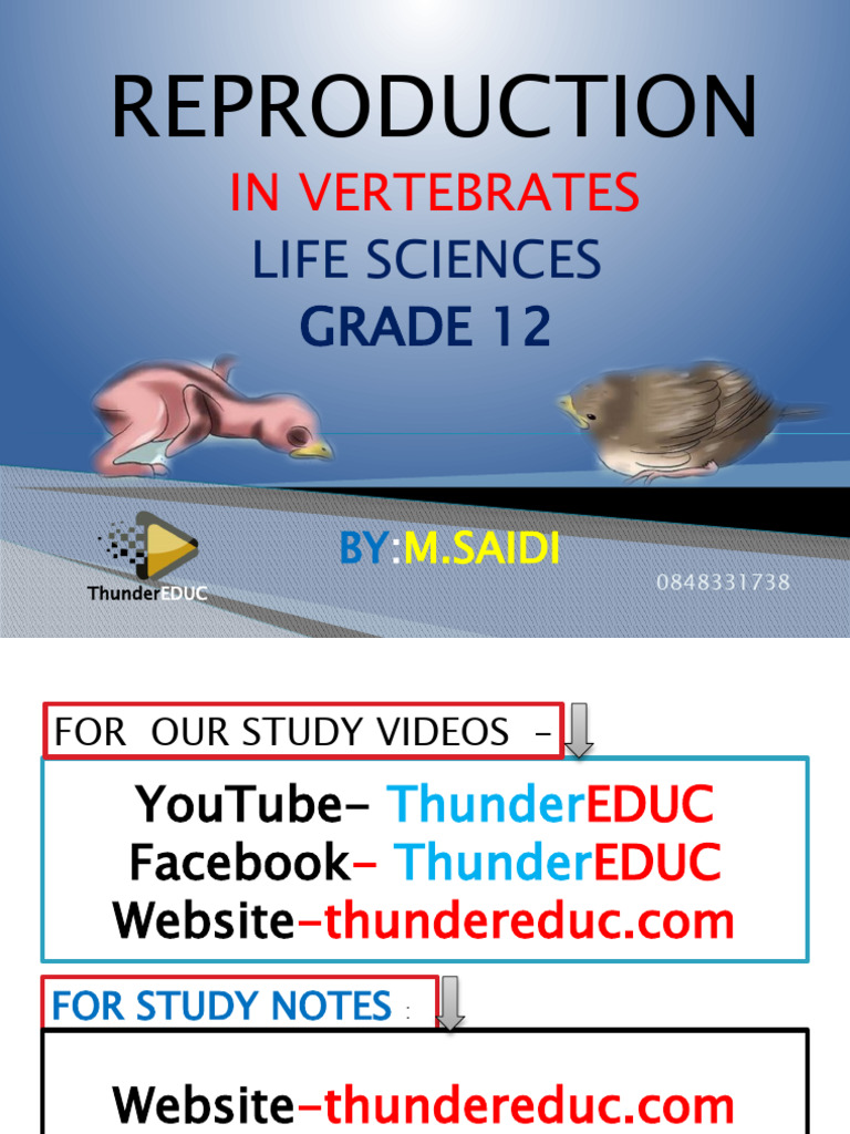 Vertebrate Reproduction Study Guide | PDF | Fertilisation | Sexual ...