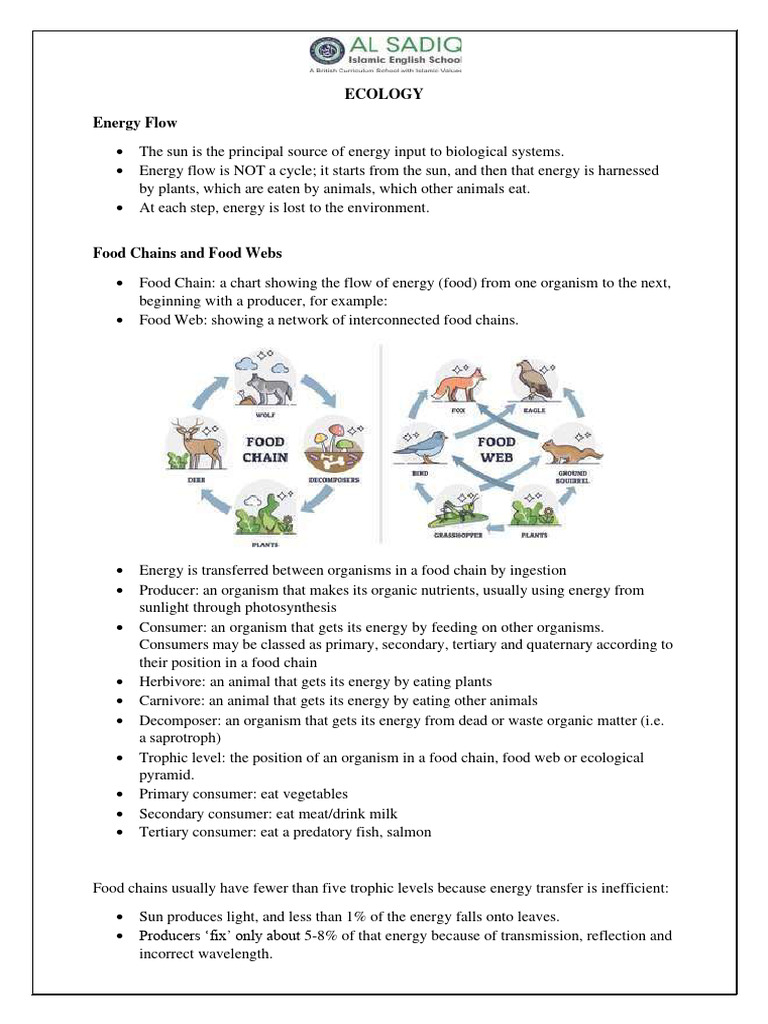 ECOLOGY - Distance Learning | PDF | Food Web | Foods