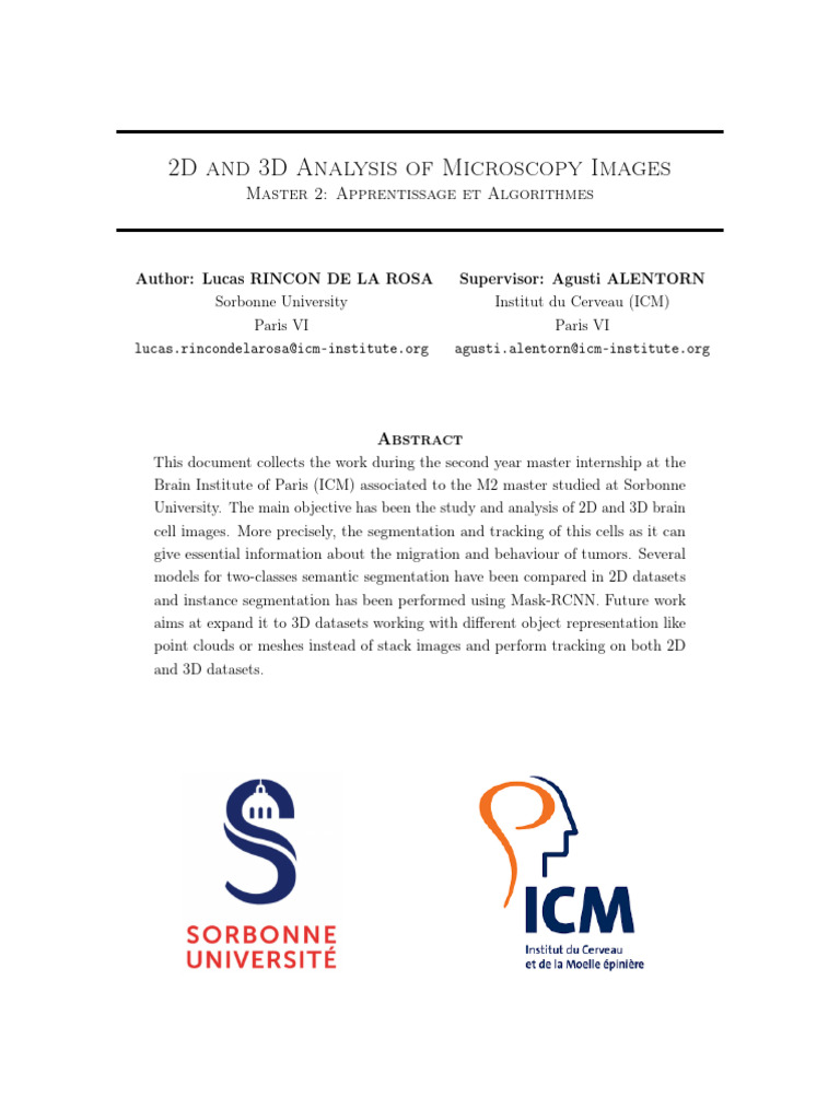 Memoire Du Stage ICM | PDF | Image Segmentation | Computer Vision
