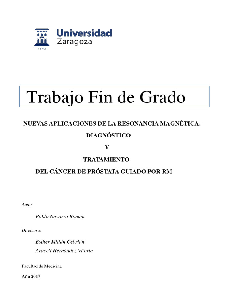 Taz TFG 2017 1024 | PDF | Imagen de resonancia magnética | Cancer de prostata