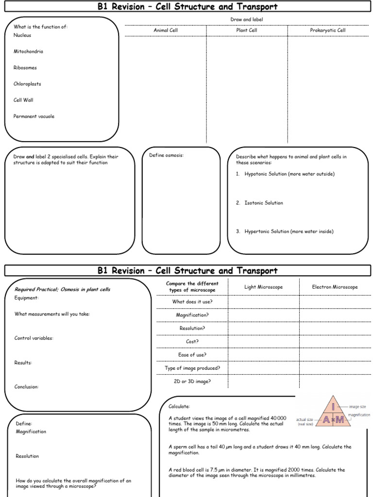 Cell Structure and Transport Revision Guide | PDF | Cell (Biology ...