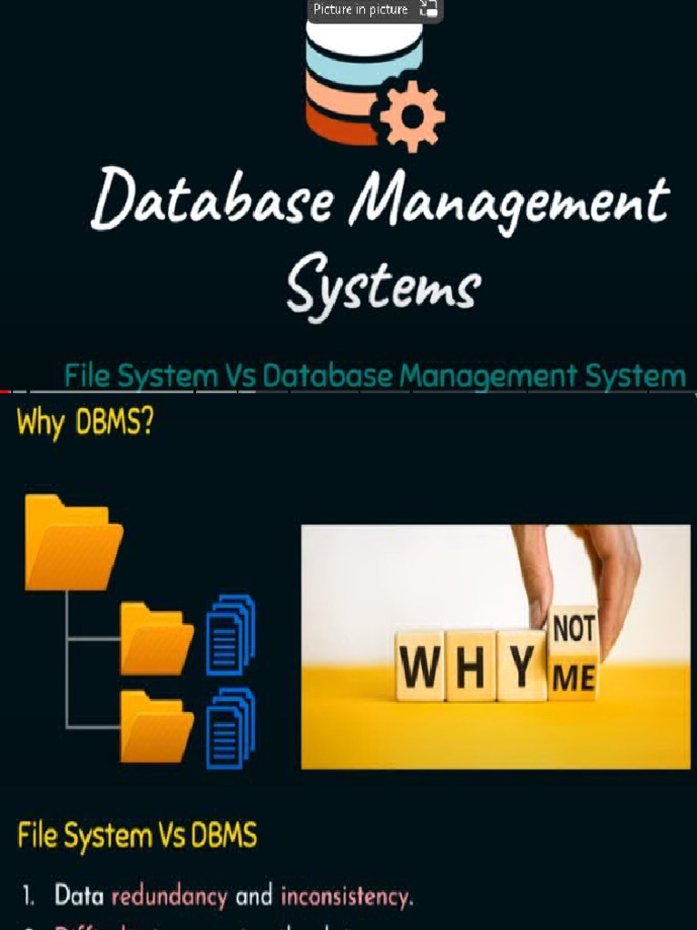 File System VS DBMS | PDF
