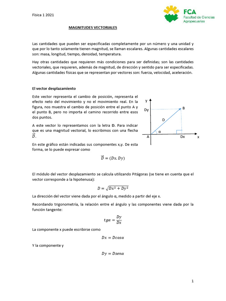 Magnitudes Vectoriales | PDF | Vector Euclidiano | Velocidad