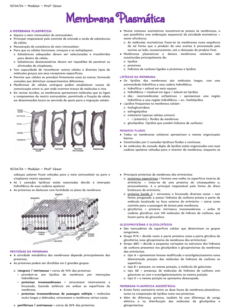 Membrana Plasmática | PDF | Membrana celular | Lisossoma
