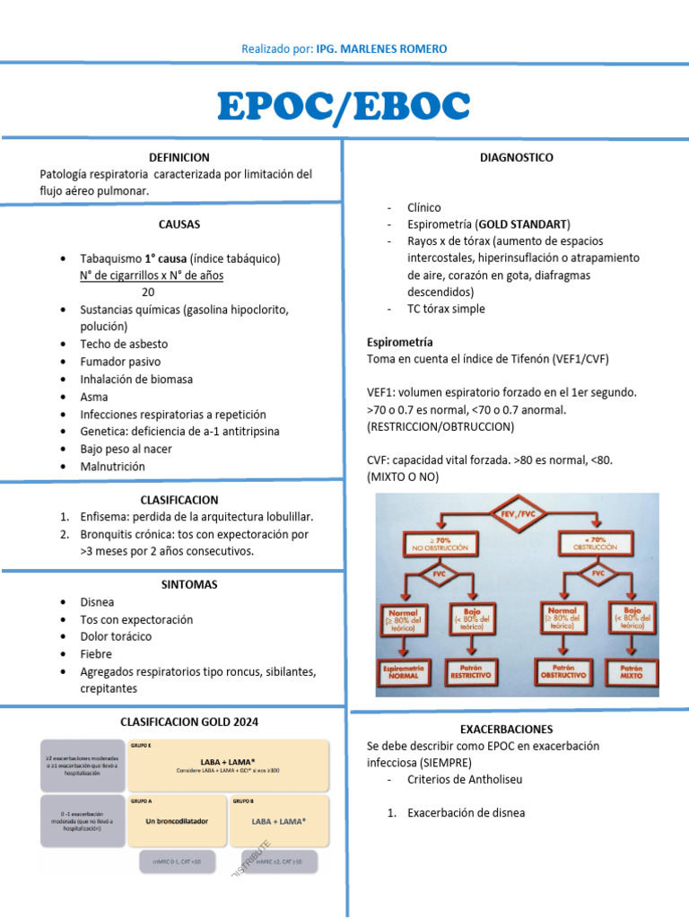 Guía Completa sobre EPOC/EBOC | PDF | Enfermedad pulmonar obstructiva ...