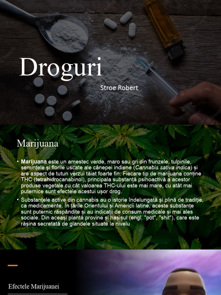 Proiect Droguri | PDF